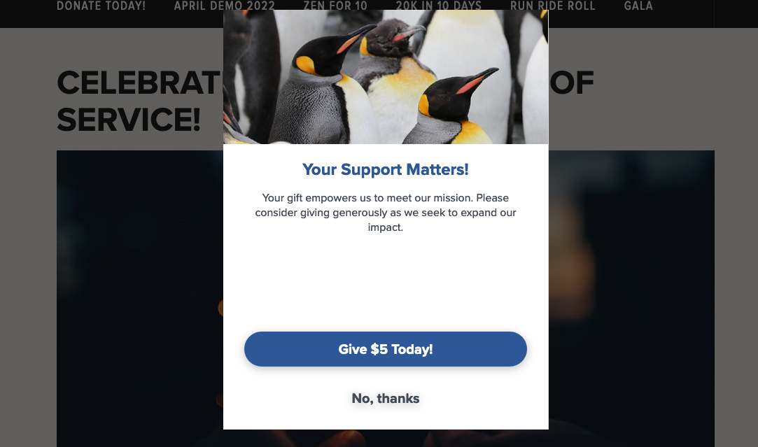 Creating A Custom Popup Takeover In The Soapbox Administrator Soapbox